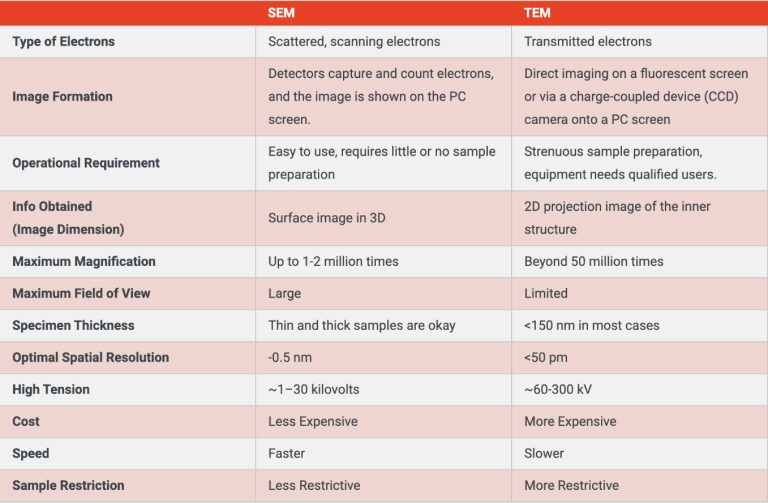 Electron Microscopy: TEM vs. SEM | NanoImages