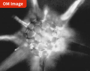 SEM Technology | Electron Microscope Components | Overview