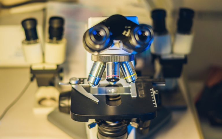 Different Types of Microscopes: a Comprehensive Guide Different Types of Microscopes: a Comprehensive Guide