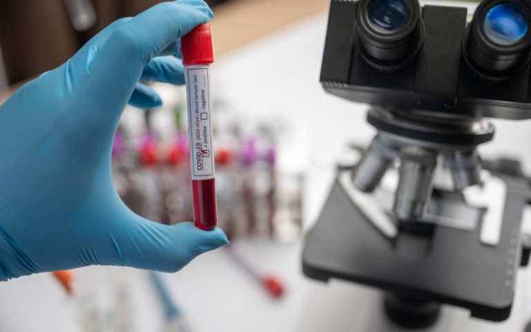 Cells Under Microscope: Cellular Structures & Microscopy