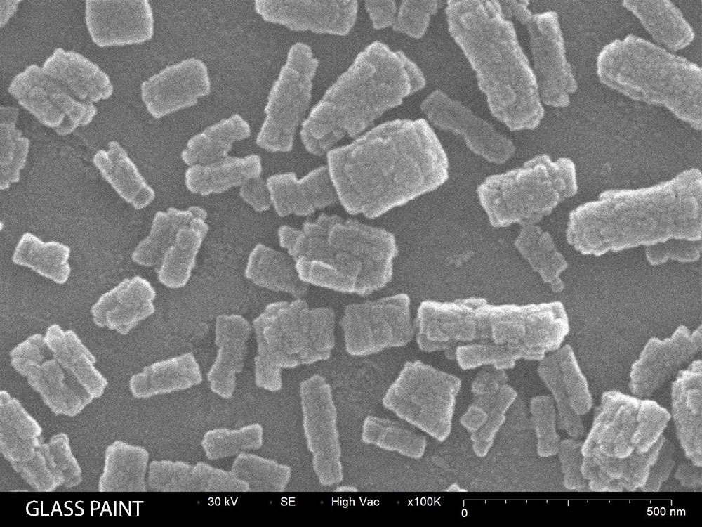 Application Examples for Tabletop SEM Scanning Electron Microscopy