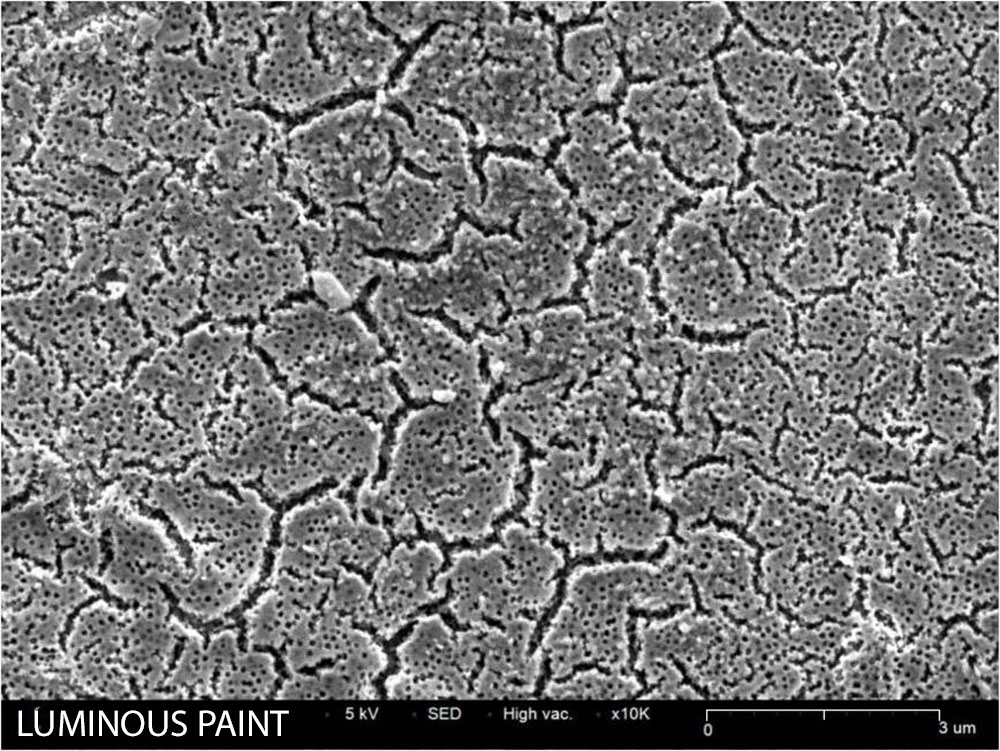Application Examples for Tabletop SEM Scanning Electron Microscopy