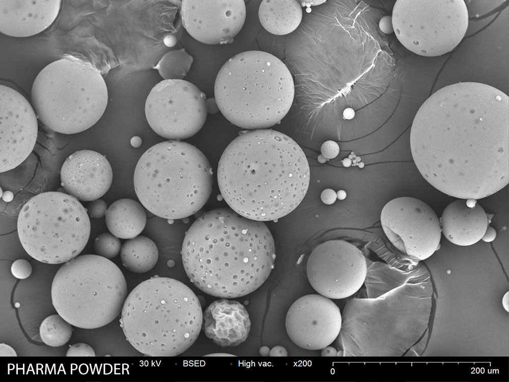 Application Examples for Tabletop SEM Scanning Electron Microscopy
