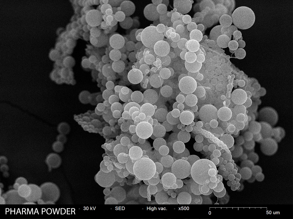Application Examples for Tabletop SEM Scanning Electron Microscopy