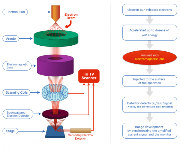 Scanning Electron Microscopy (SEM) Technology Overview