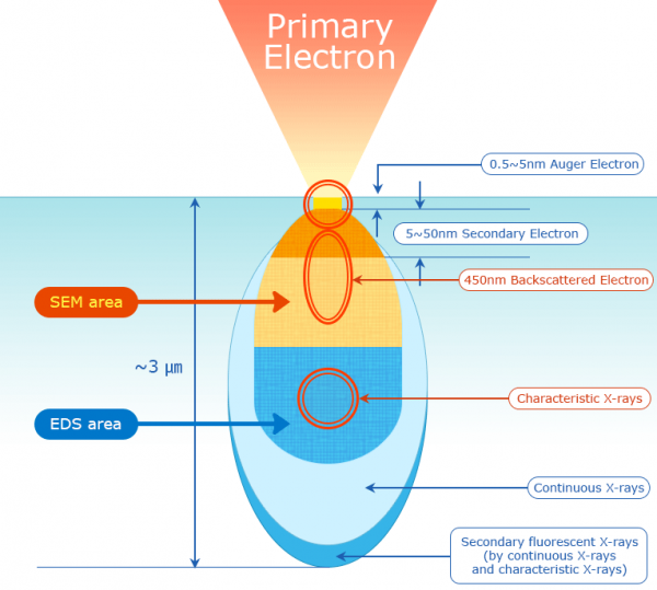 Scanning Electron Microscopy (SEM) Technology Overview